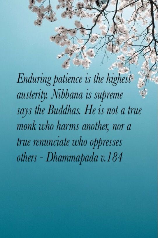 Dhammapada 184 – Patience | Cattāri Brahmavihārā