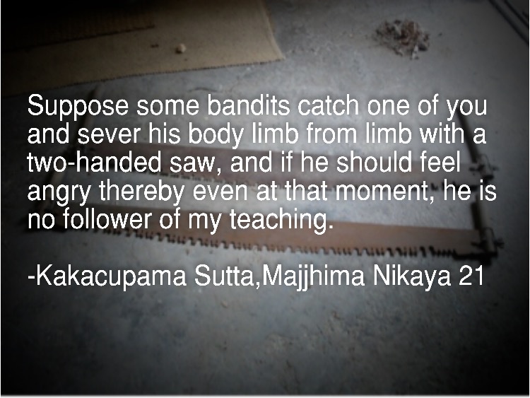 Simile of the Saw | Cattāri Brahmavihārā