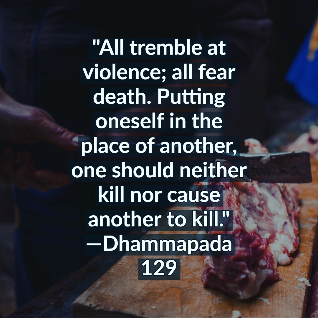 Dhammapada 129 | Cattāri Brahmavihārā