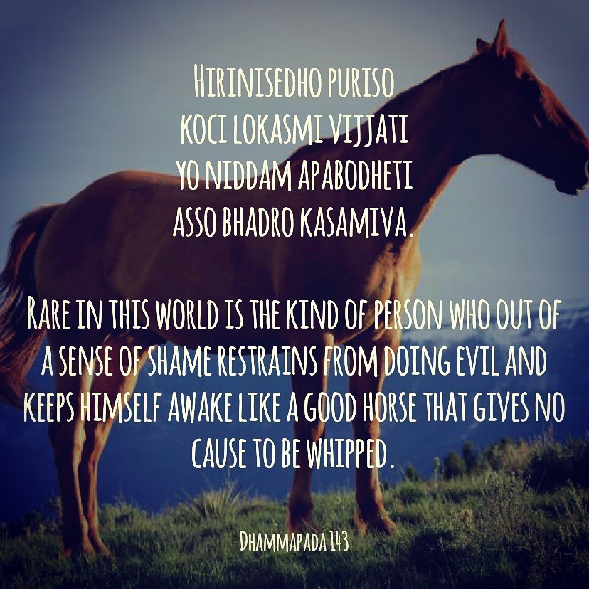 Shame and Restraint | Cattāri Brahmavihārā